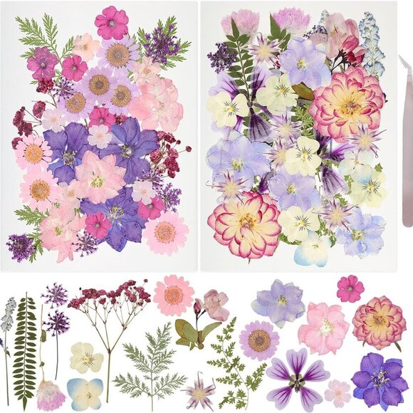 Other | 5pcs Dried Pressed Flowers Resin Mould Real Pressed Flowers ...
